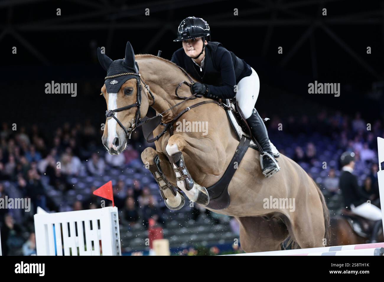 Megan Laseur with Nardocchio van de Blauwendraad during the Stal ...