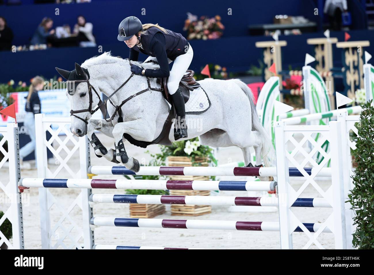 Marit Hoekstra with Qstar during the IB Makelaars Prize 1.20m at the ...
