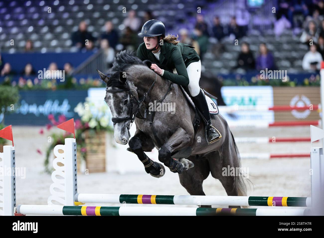 Tessa Delger with Orlando N during the IB Makelaars Prize 1.20m at the ...