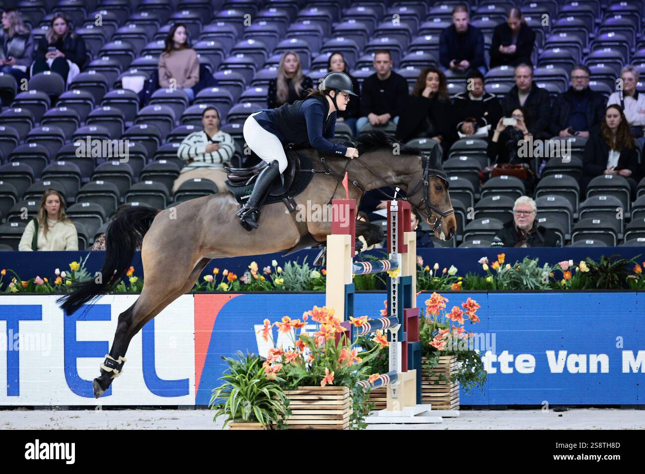 Tabitha Verburg with Karezzo Solier during the De Telegraaf Prize 1.35m ...