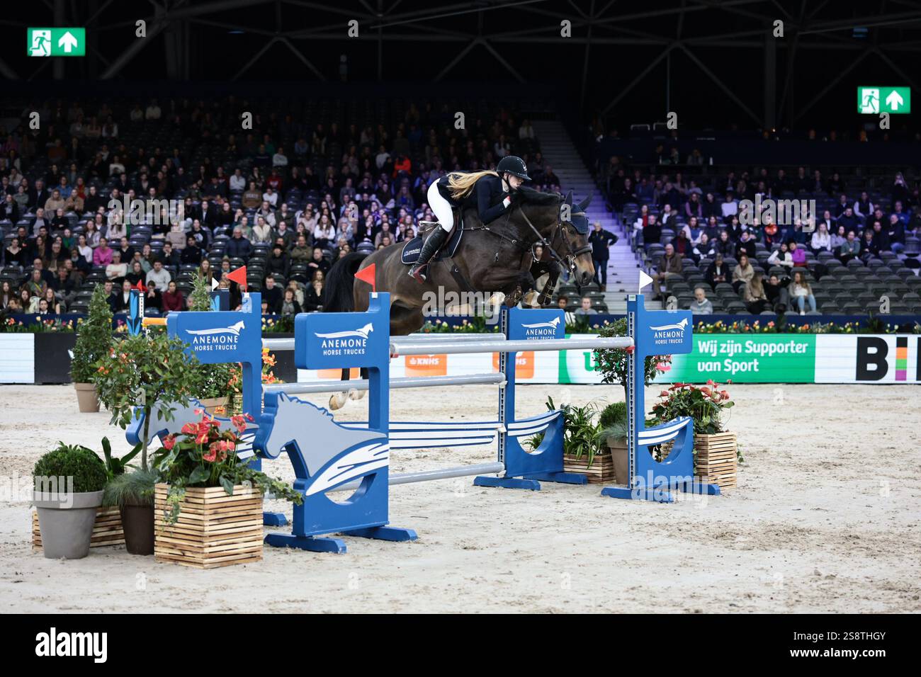 Yfke Priem of the Netherlands with Kessel HX during the Anemone Horse ...
