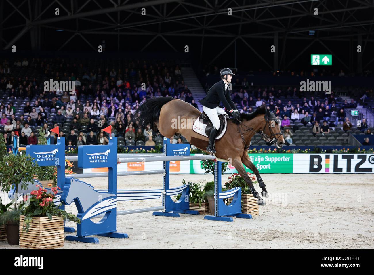Thijmen Vos of the Netherlands with Cadillac Z during the Anemone Horse ...