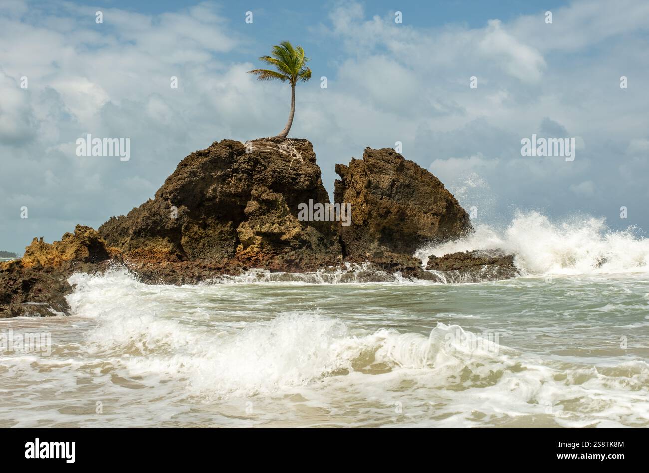 Famous beach by the coconut tree that grew on top of a rock. View of ...