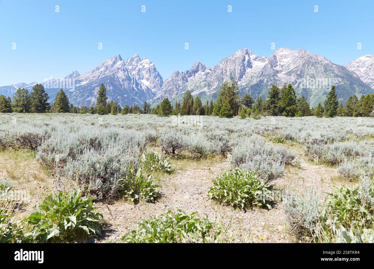 Grand Teton National Park is known for its stunning Teton Range. From ...