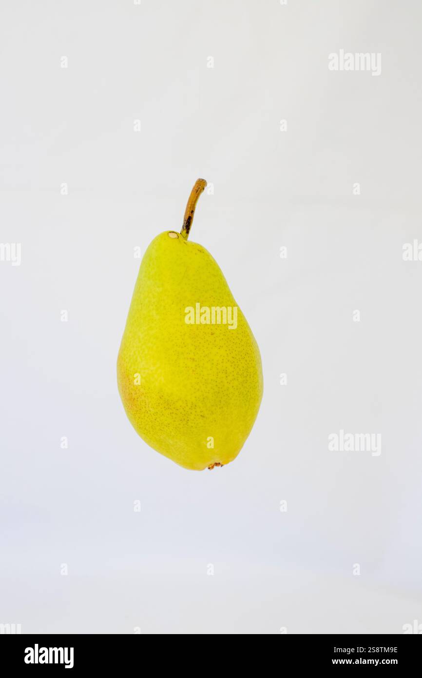 Single Green Pear Floating Against an Isolated White Background ...