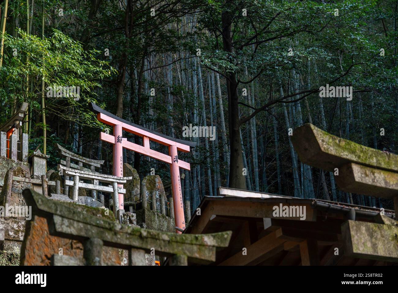 Kyoto, Japan - Dec 27 2024: shinto shrine arches in Fushimi Inari in ...