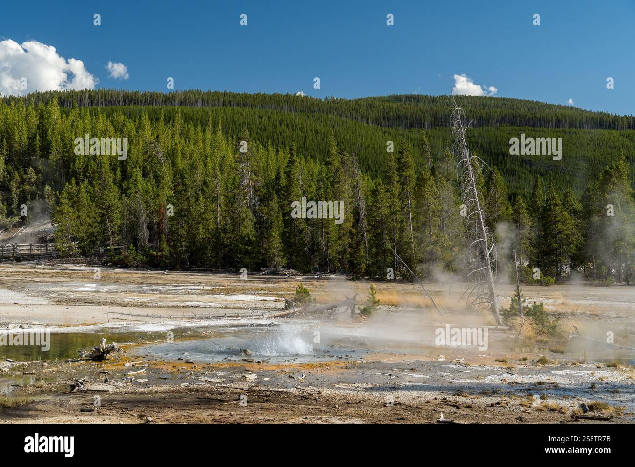 Hot springs in the Black Sand Basin, part of the Norris Geyser Basin in ...