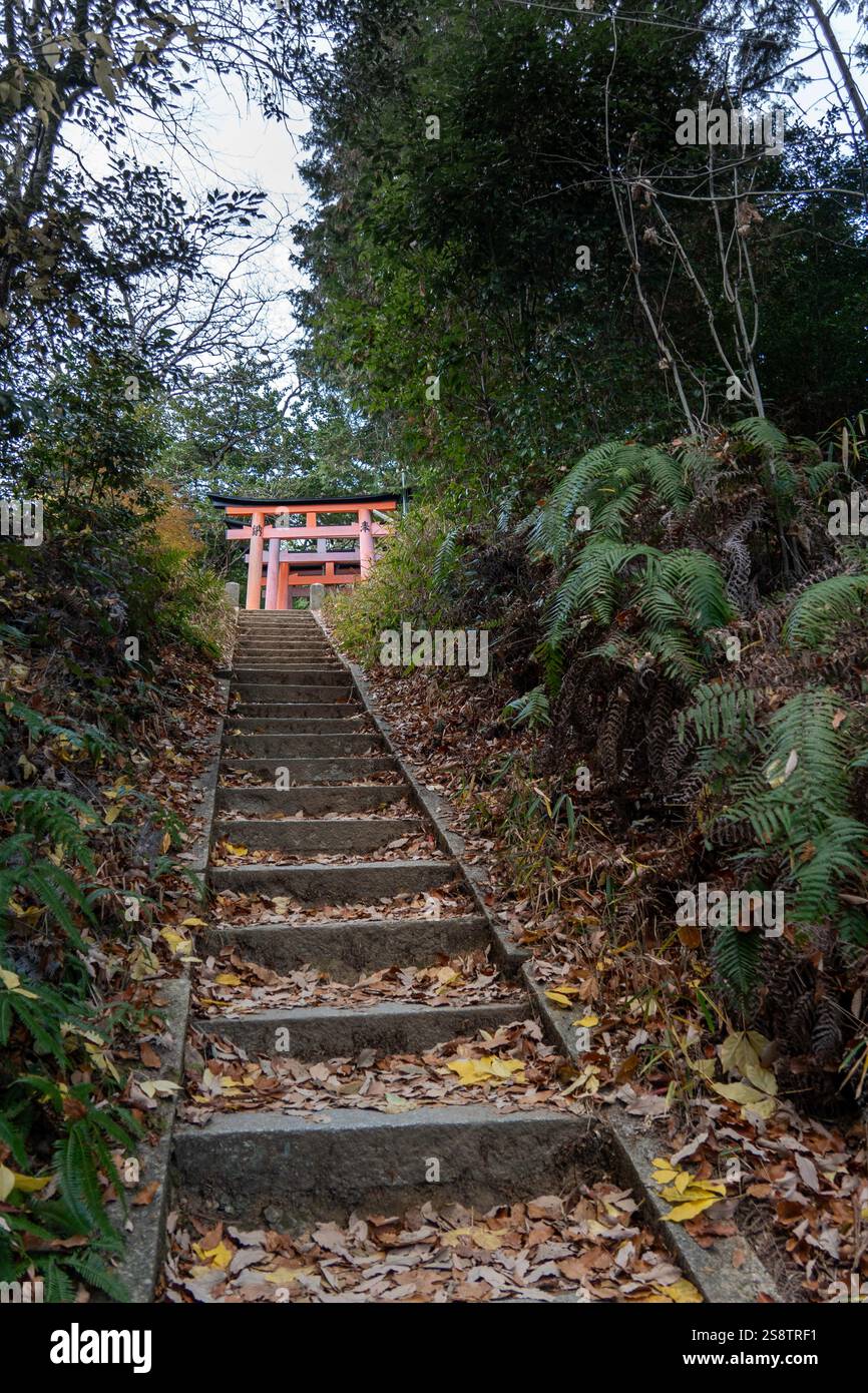 shinto shrine arches in Fushimi Inari in Japan Stock Photo - Alamy