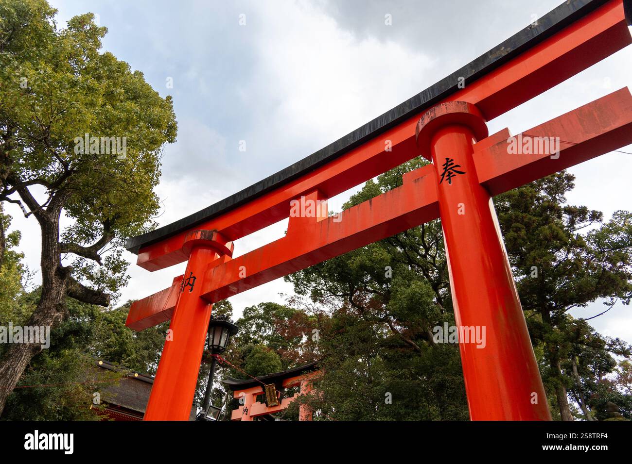 shinto shrine arches in Fushimi Inari in Japan Stock Photo - Alamy