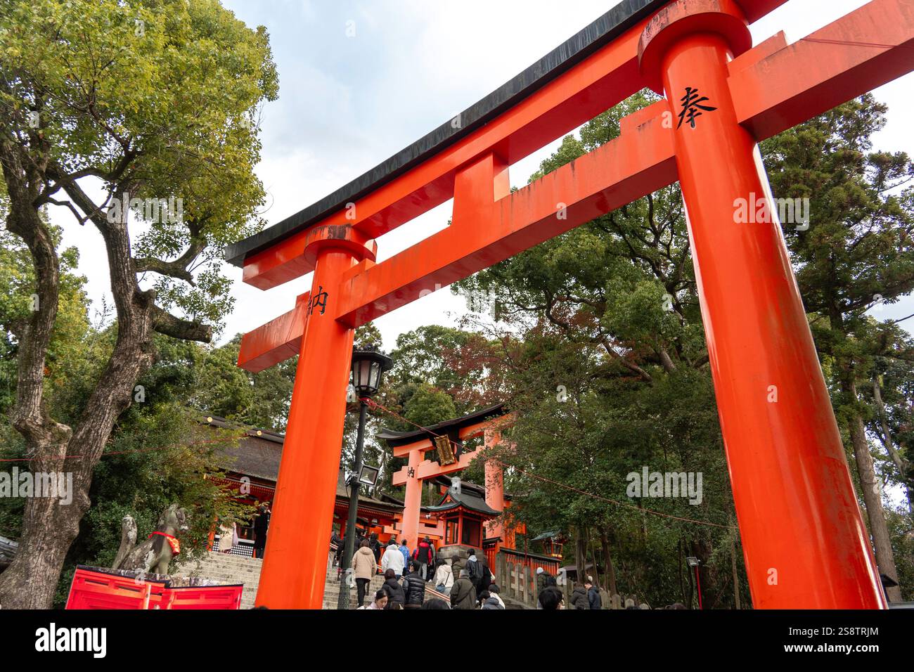 shinto shrine arches in Fushimi Inari in Japan Stock Photo - Alamy