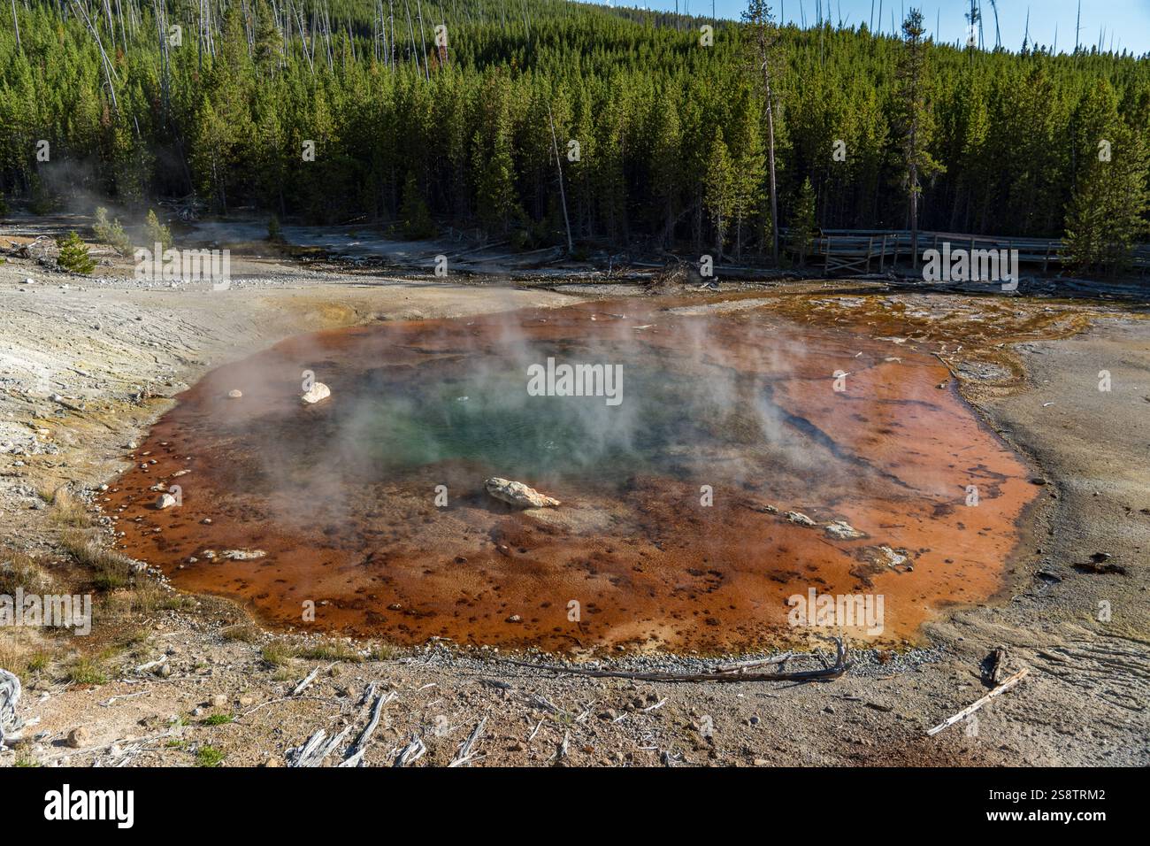 Echinus Geyser, hot spring in the Black Sand Basin, part of the Norris ...