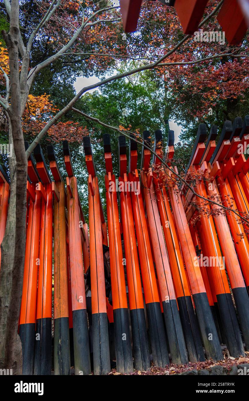the Fushimi Inari temple grounds Stock Photo - Alamy