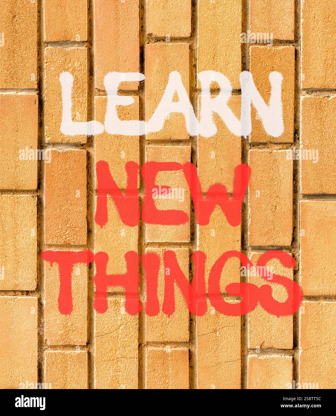 Learn new things symbol. Concept words Learn new things on beautiful ...