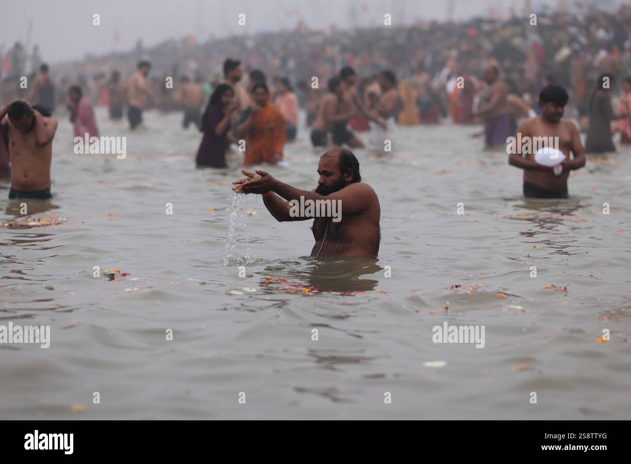 Pilgrims bathing in the early morning at the Triveni Sangam on the ...