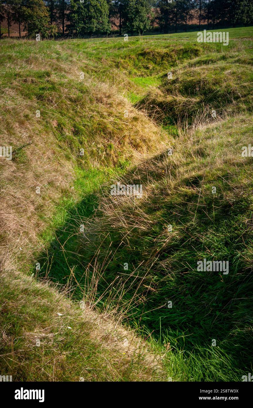 The image shows a section of a field with trenches, likely remnants of ...