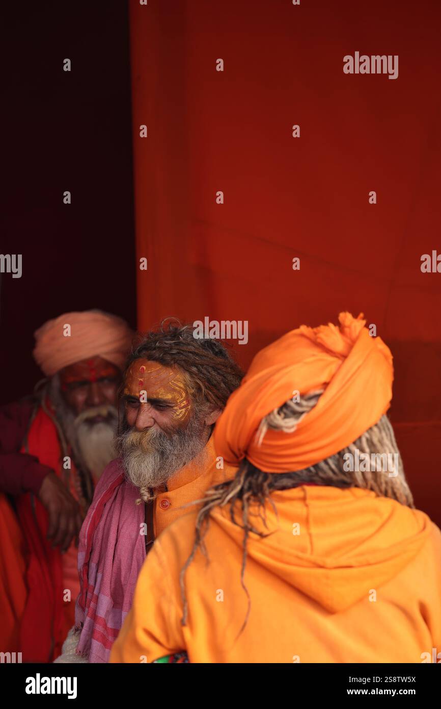 Sadhu, Maha Kumbh Mela, Prayagraj, Uttar Pradesh, India. Hindu festival ...