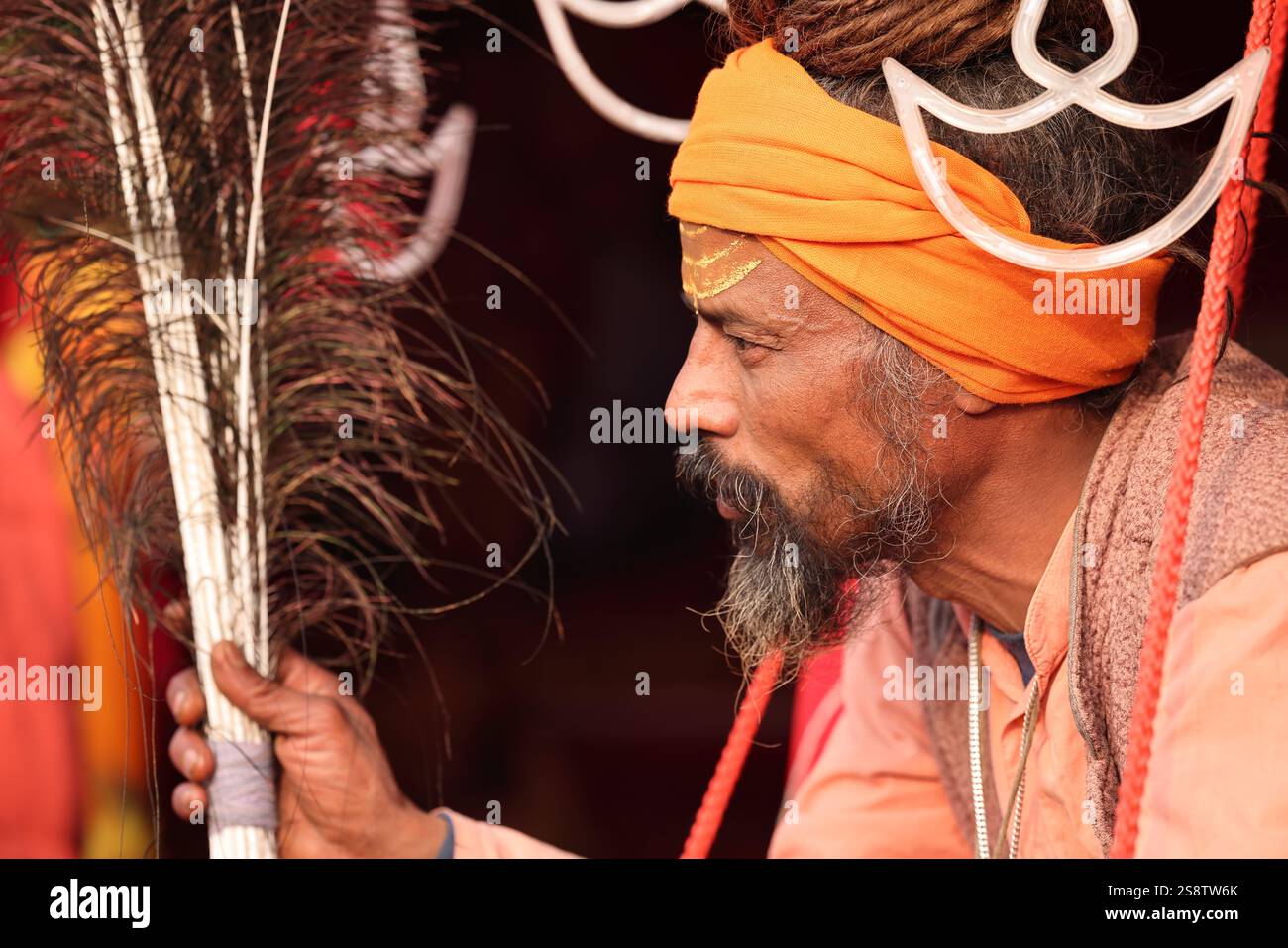 Sadhu, Maha Kumbh Mela, Prayagraj, Uttar Pradesh, India. Hindu festival ...