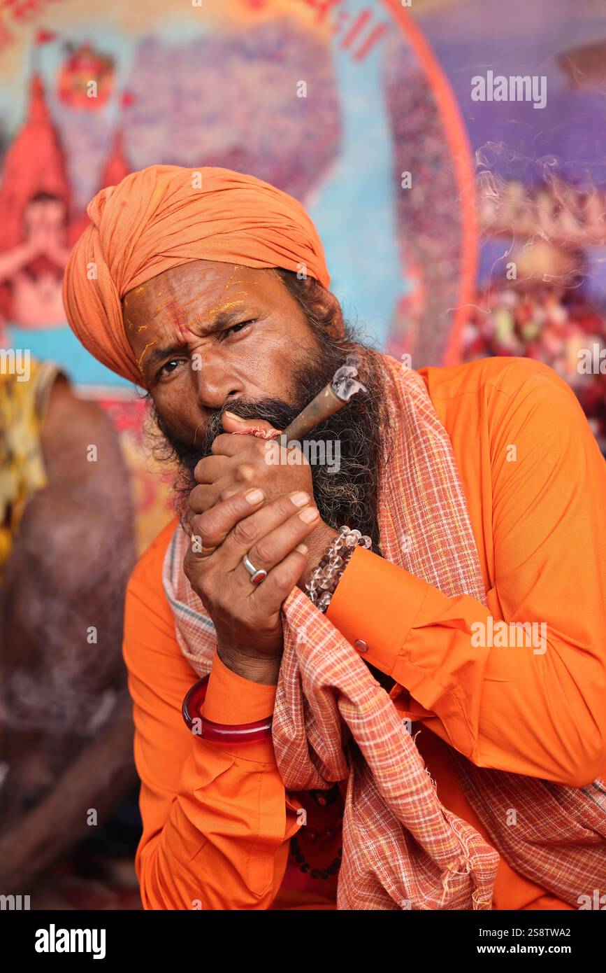 Sadhu, Maha Kumbh Mela, Prayagraj, Uttar Pradesh, India. Hindu festival ...