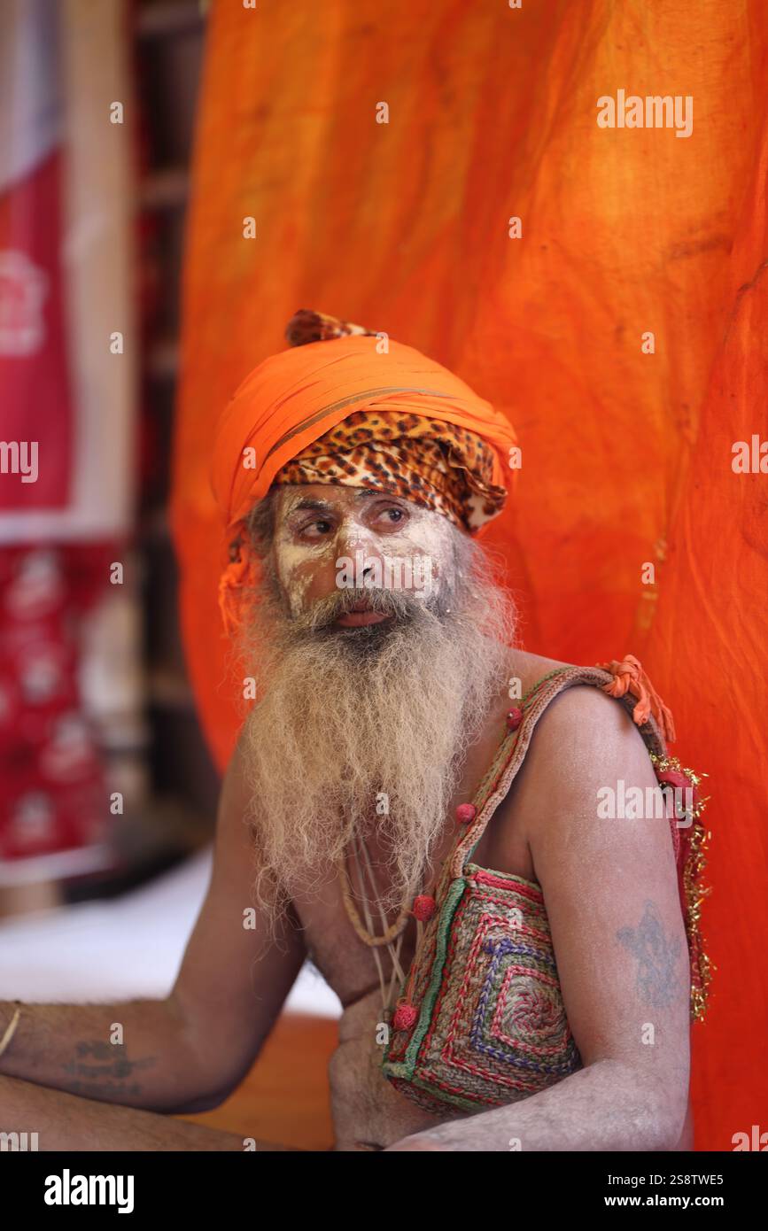 Naga sadhu in an akhara, Maha Kumbh Mela, Prayagraj, Uttar Pradesh ...