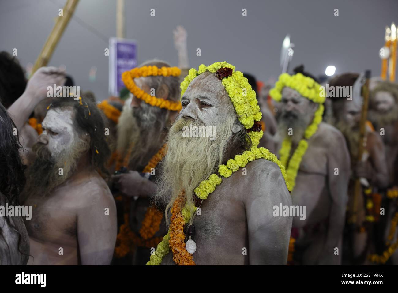 Naga Sadhus, parading to the Sangam on the Shahi Snan (Royal Bath ...