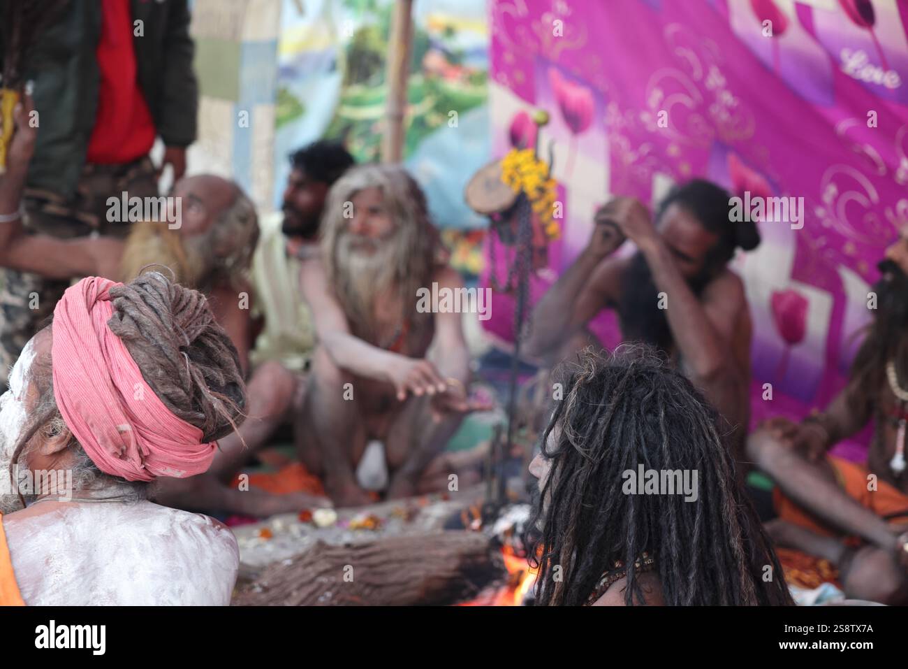 Sadhu tent, Maha Kumbh Mela, Prayagraj, Uttar Pradesh, India. Hindu festival held every 144 ...