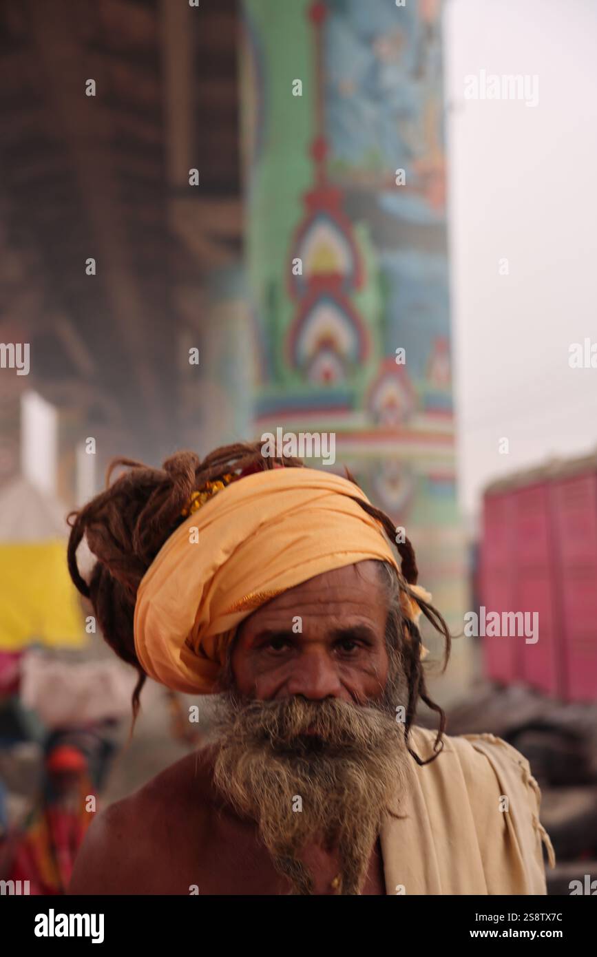 Sadhu, Maha Kumbh Mela, Prayagraj, Uttar Pradesh, India. Hindu festival ...