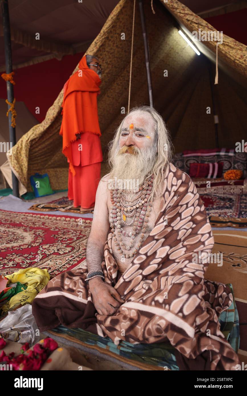 Naga sadhu in an akhara, Maha Kumbh Mela, Prayagraj, Uttar Pradesh ...