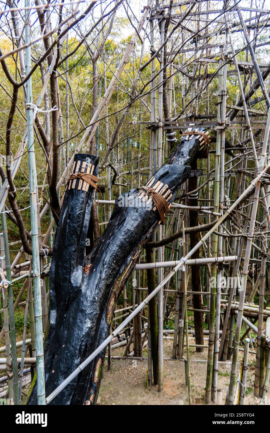 Innovative bamboo structure supporting a tree branch in a natural ...