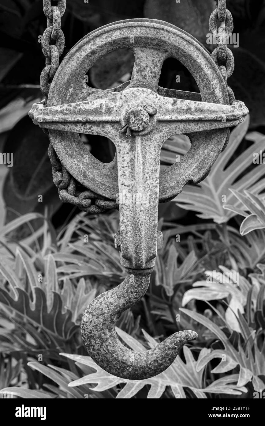 Garden block Black and White Stock Photos & Images - Alamy