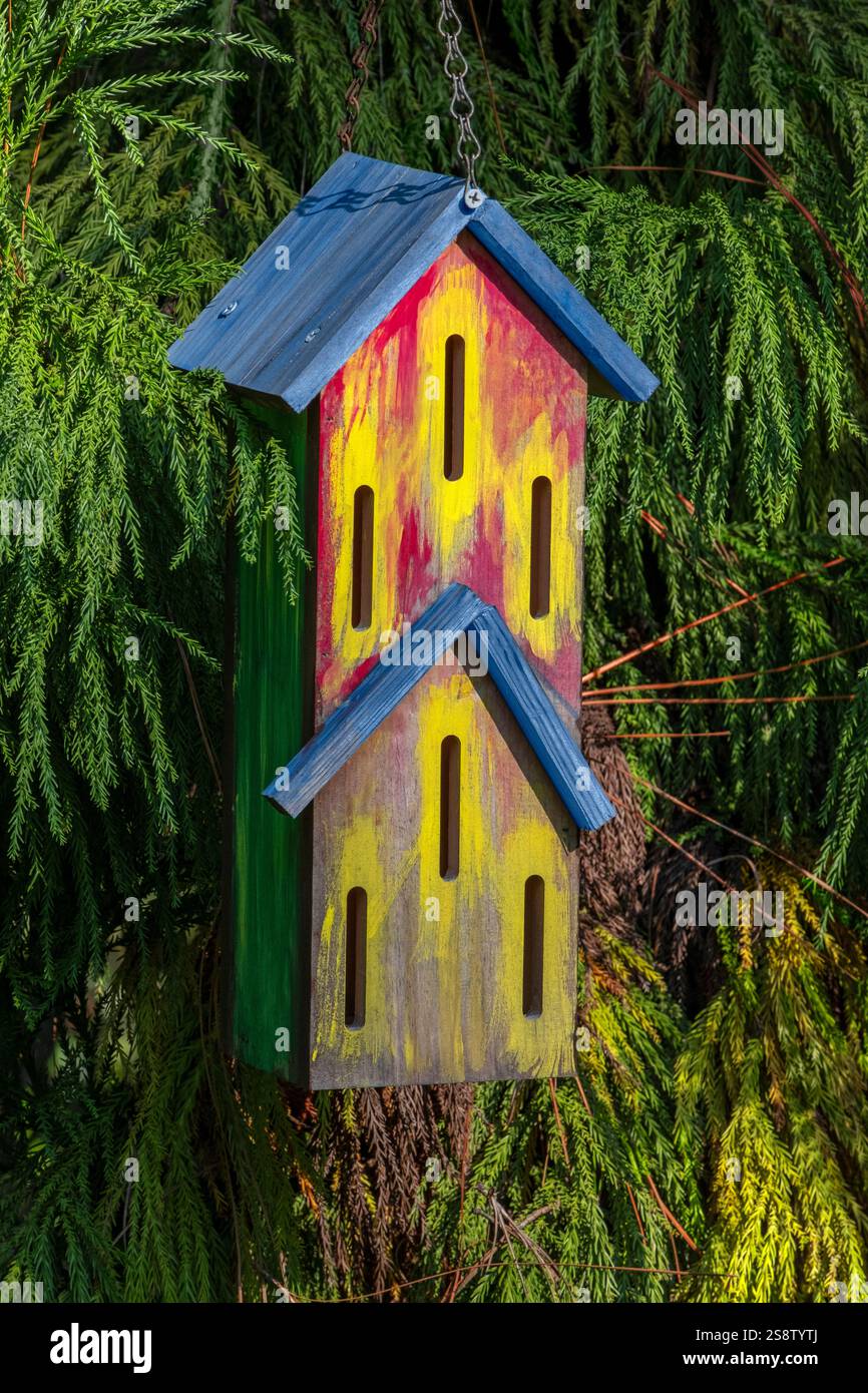 Painted butterfly house hanging on a Rimu tree Stock Photo - Alamy