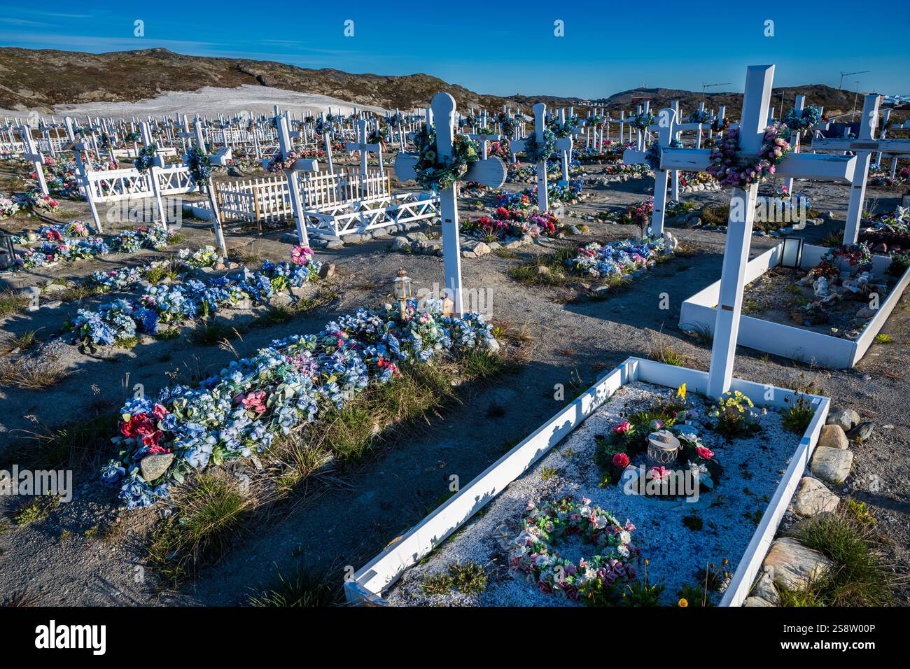In summer, Ilulissat Cemetery is filled with colorful flowers and well ...