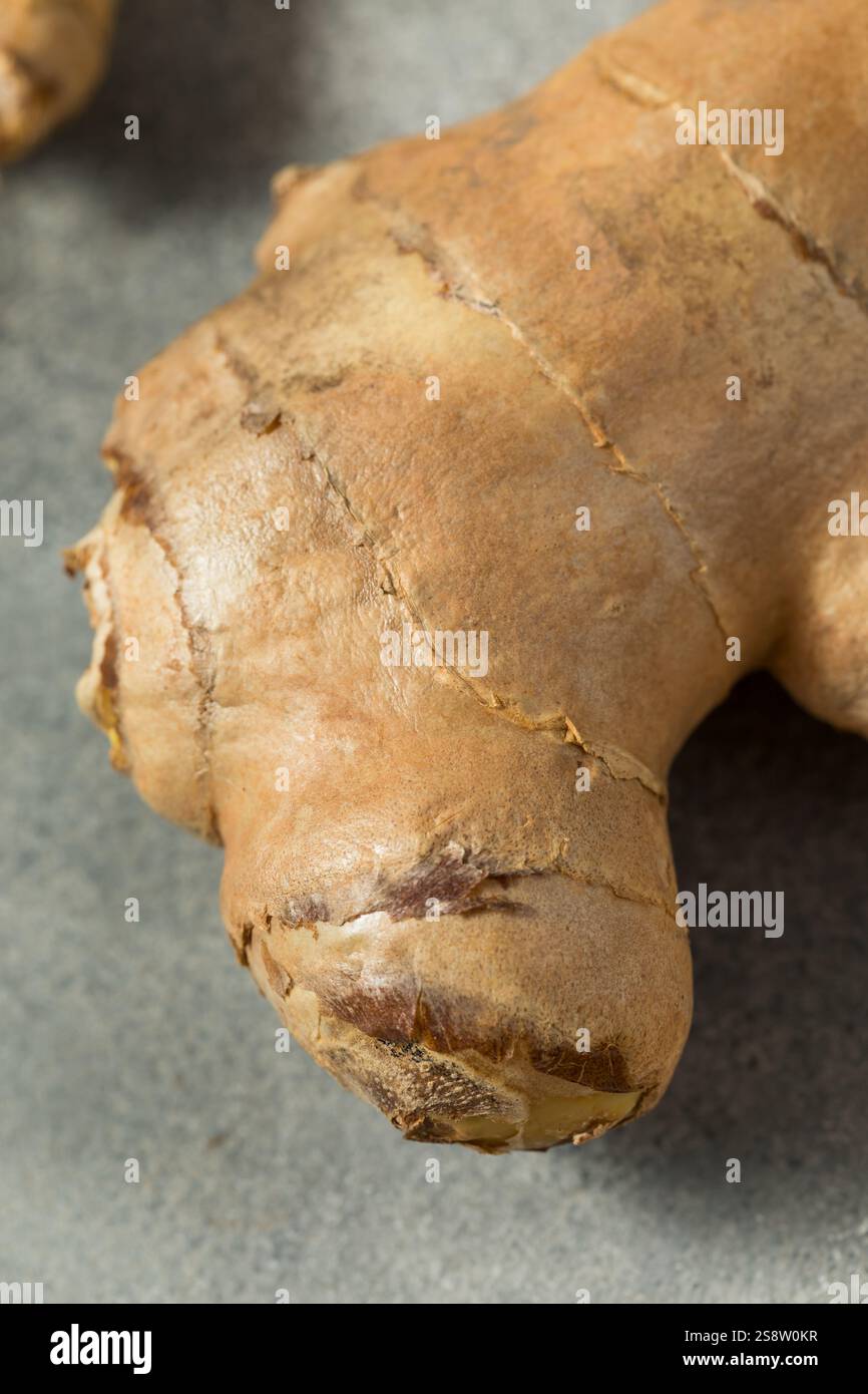 Raw Organic Ginger Root Spice Ready to Cook With Stock Photo - Alamy