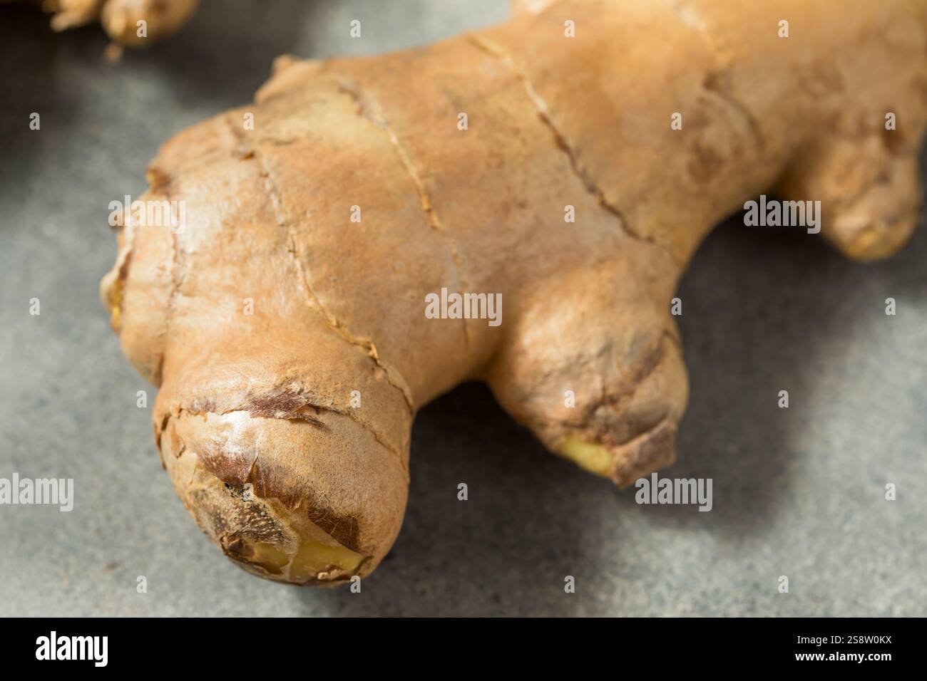 Raw Organic Ginger Root Spice Ready to Cook With Stock Photo - Alamy