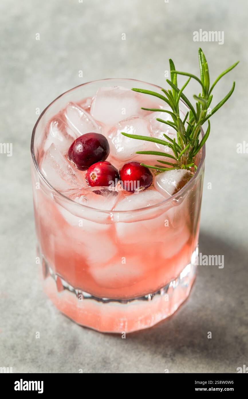 Boozy Cold Cranberry Christmas Punch Cocktail with Vodka and Rosemary ...