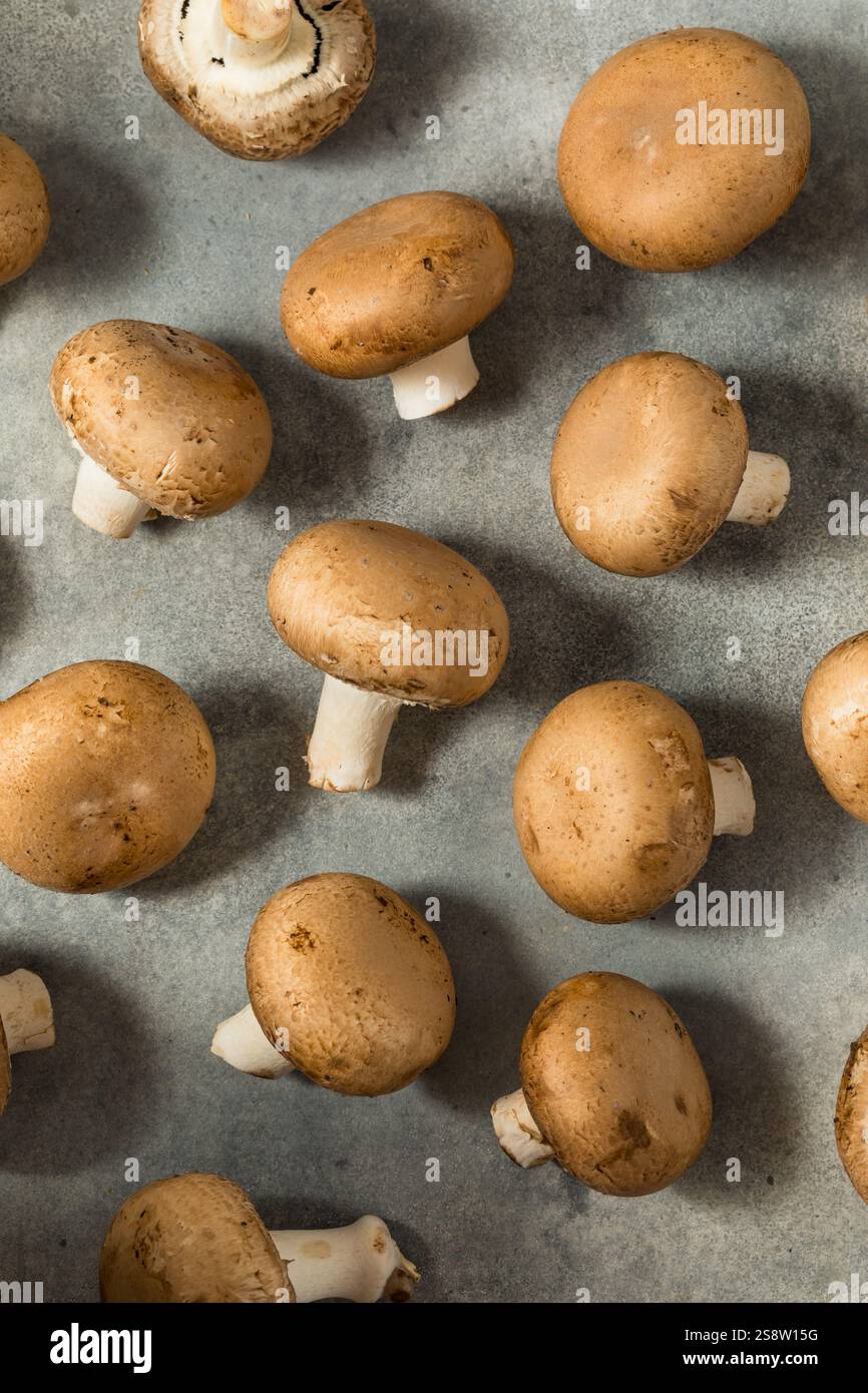 Raw Organic Cremini Baby Bella Mushrooms Ready to Cook With Stock Photo ...