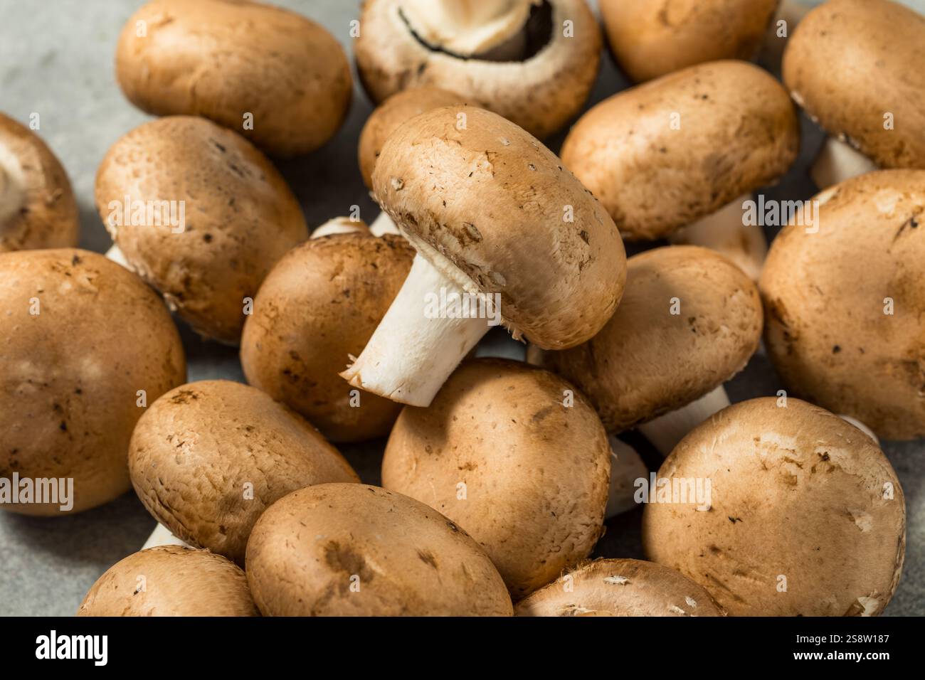 Raw Organic Cremini Baby Bella Mushrooms Ready to Cook With Stock Photo ...