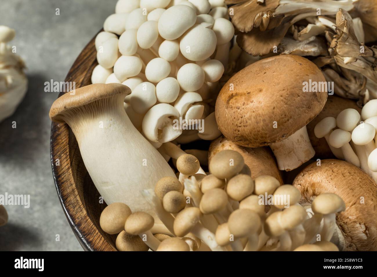 Organic Raw Assorted Gourmet Mushrooms with Oyster Cremini and Trumpet ...