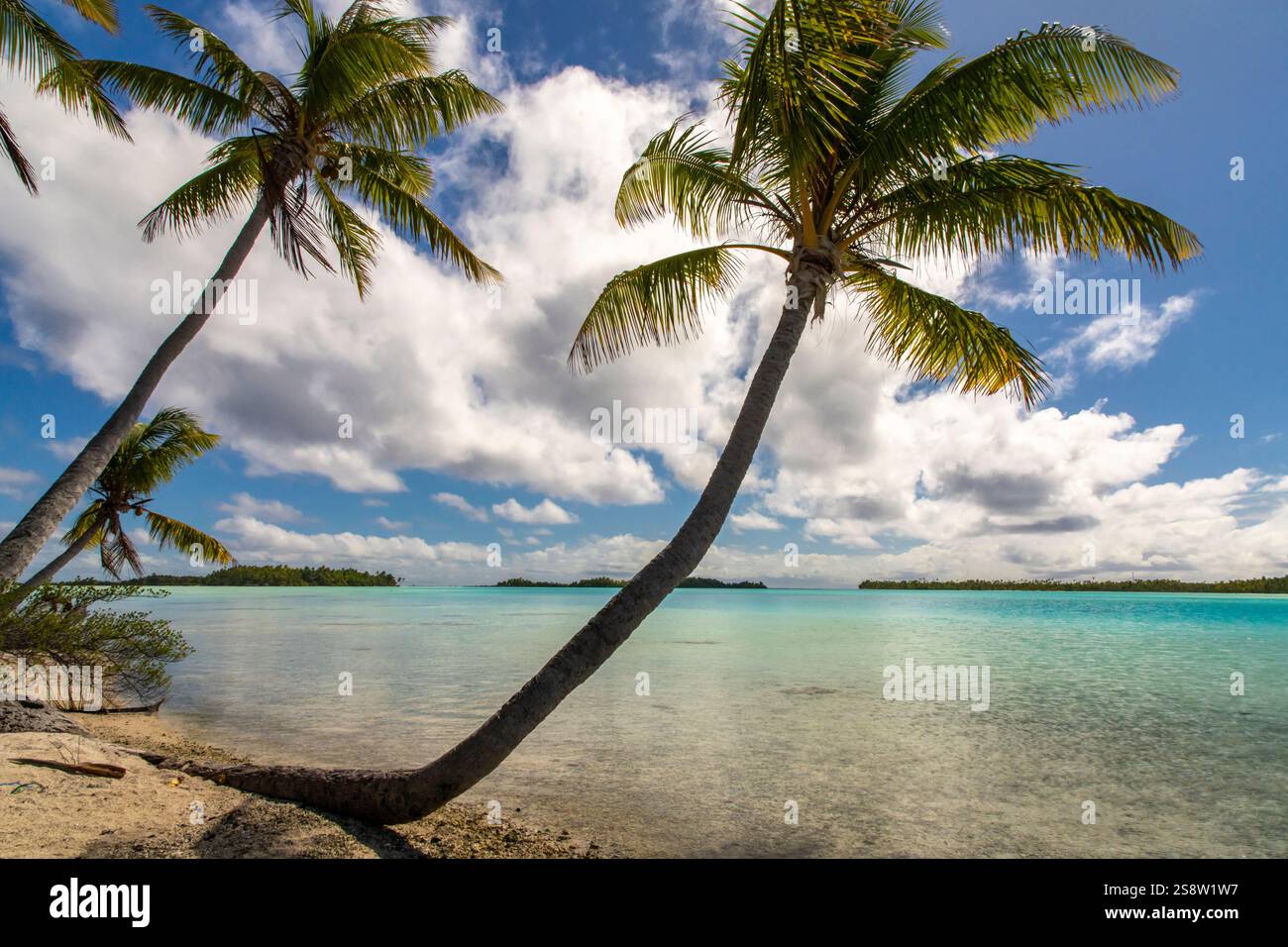 French Polynesia, Rangiroa Atoll. Blue Lagoon and palm trees Stock ...