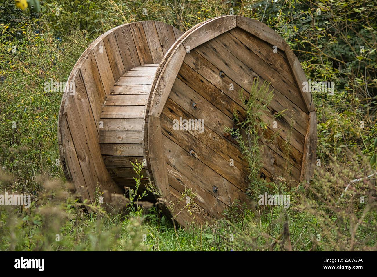 Two large wooden cable reels lie abandoned in an overgrown field ...