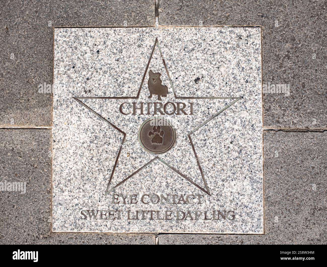 Plaque at the Statue of the famous therapy dog Chirori in Tsukijigawa ...