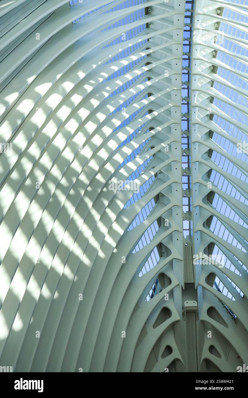 Valencia, Spain- December 27, 2024: Architectural details of The ...