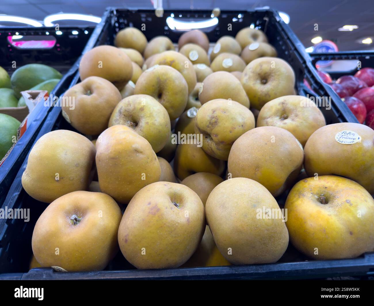 Fresh golden apples on display in a grocery store produce section Stock ...