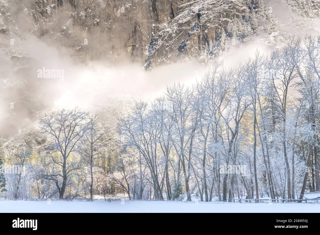 USA, California, Yosemite National Park. El Capitan mountain and fog on ...