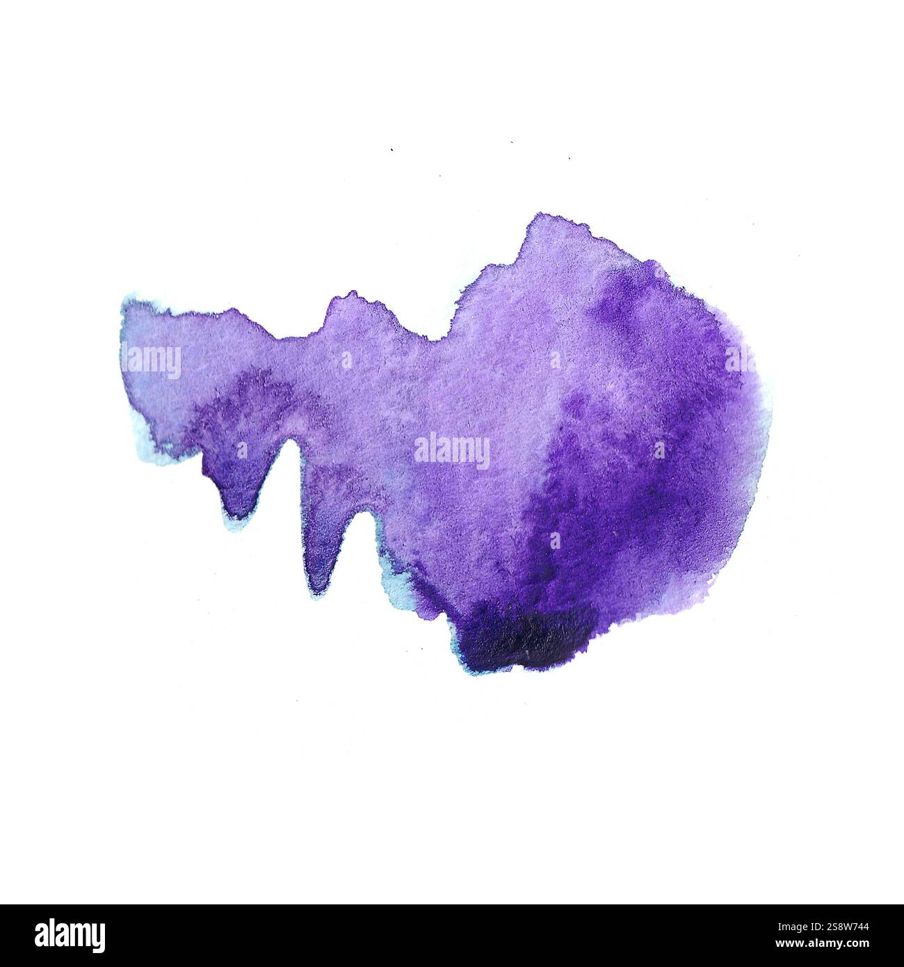 Lavender watercolor splash with soft pastel tones and floral-inspired ...