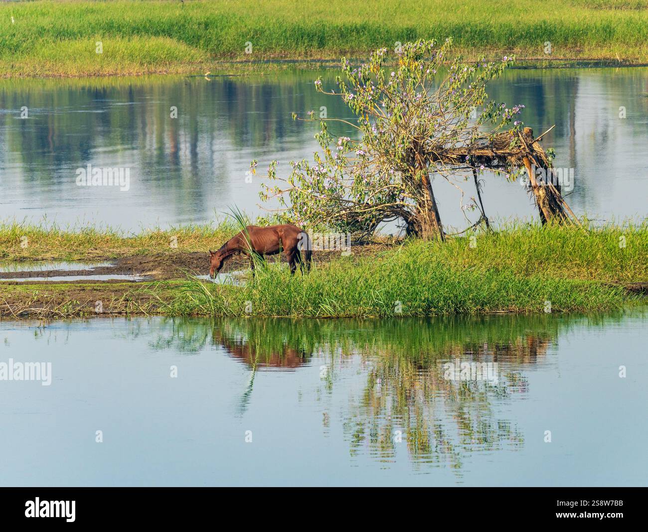 Small straw hut or shelter to provide shade on small island in the calm ...