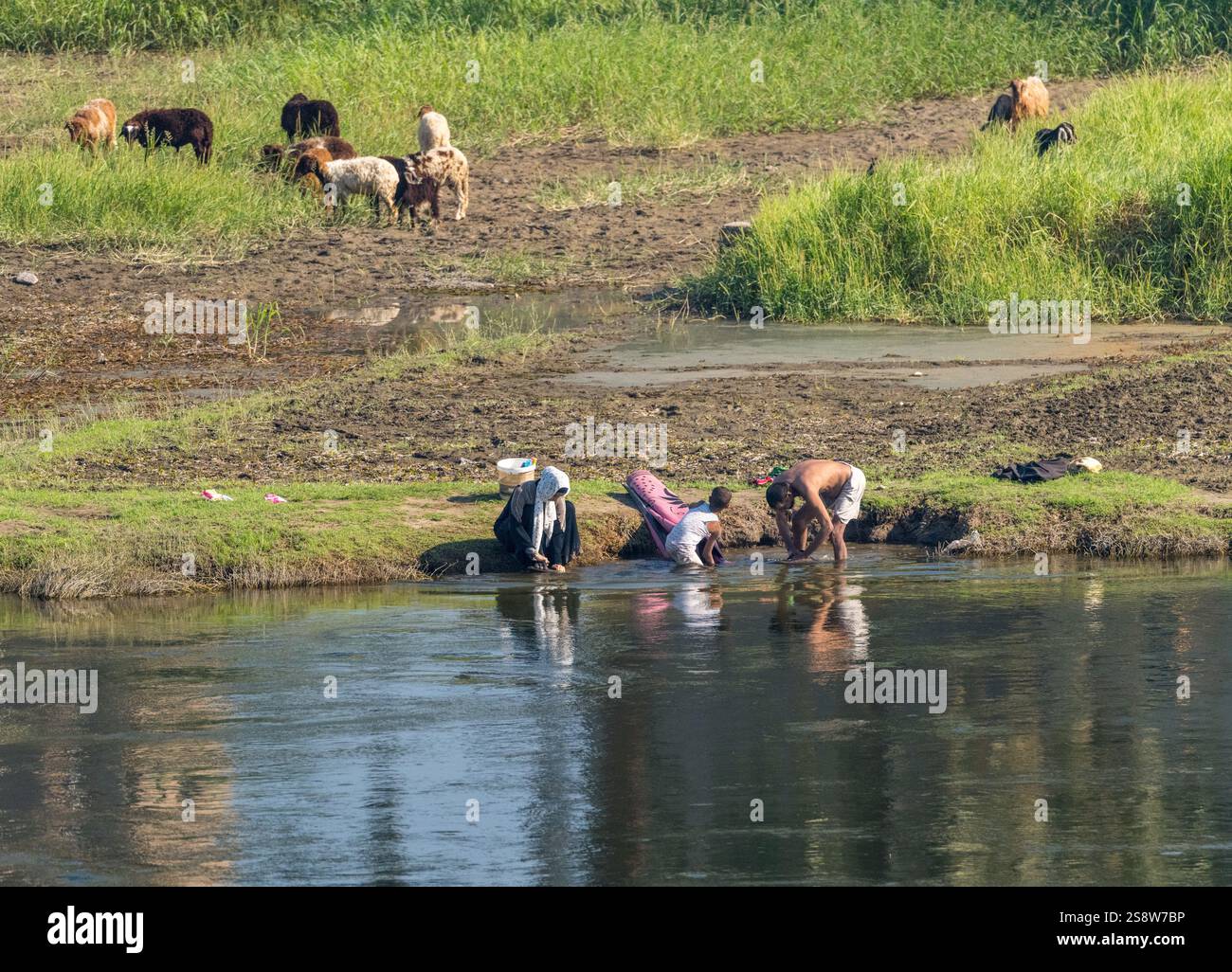 Luxor, Egypt - 1 November 2024: Family with children washing clothing ...