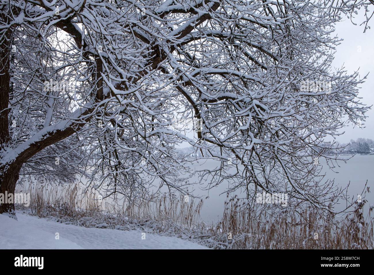 The beauty of a winter's day is on display in this image of Bernardine ...
