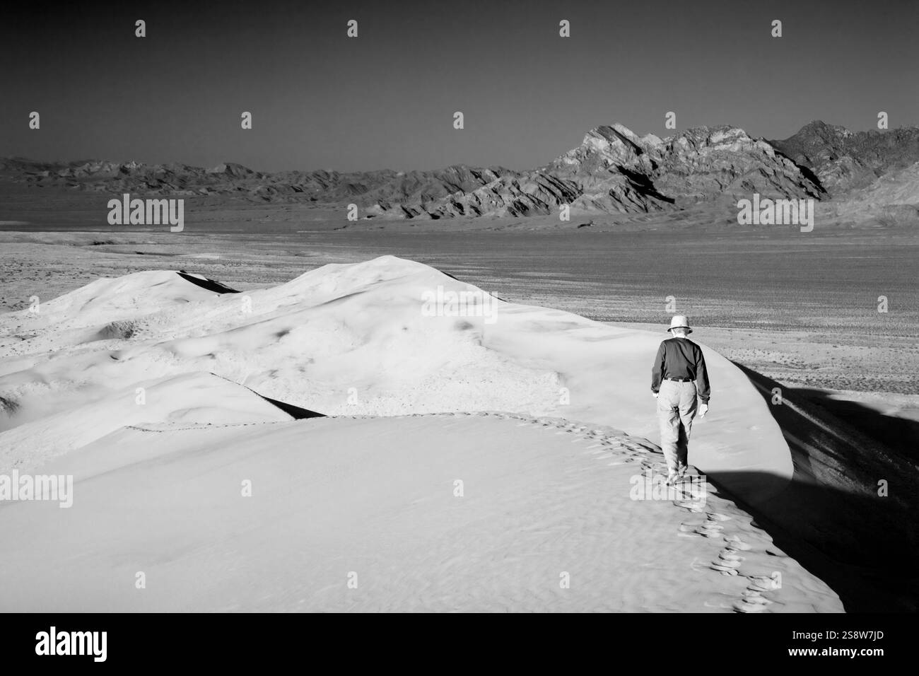 California, Mojave National Preserve, walking on the Kelso Dunes (MR ...