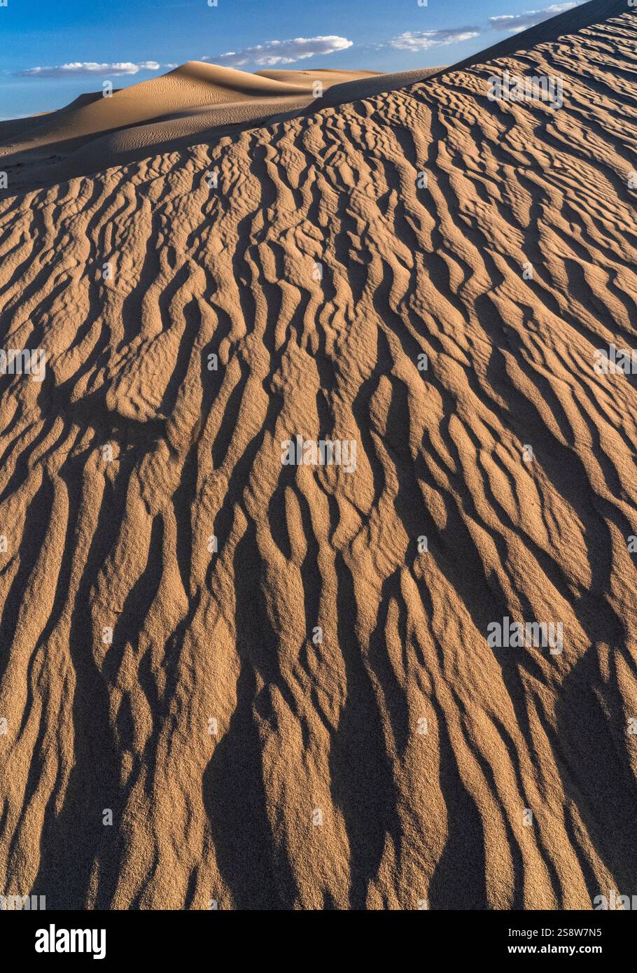 USA, California. Mojave Trails National Monument, Cadiz Dunes Stock ...