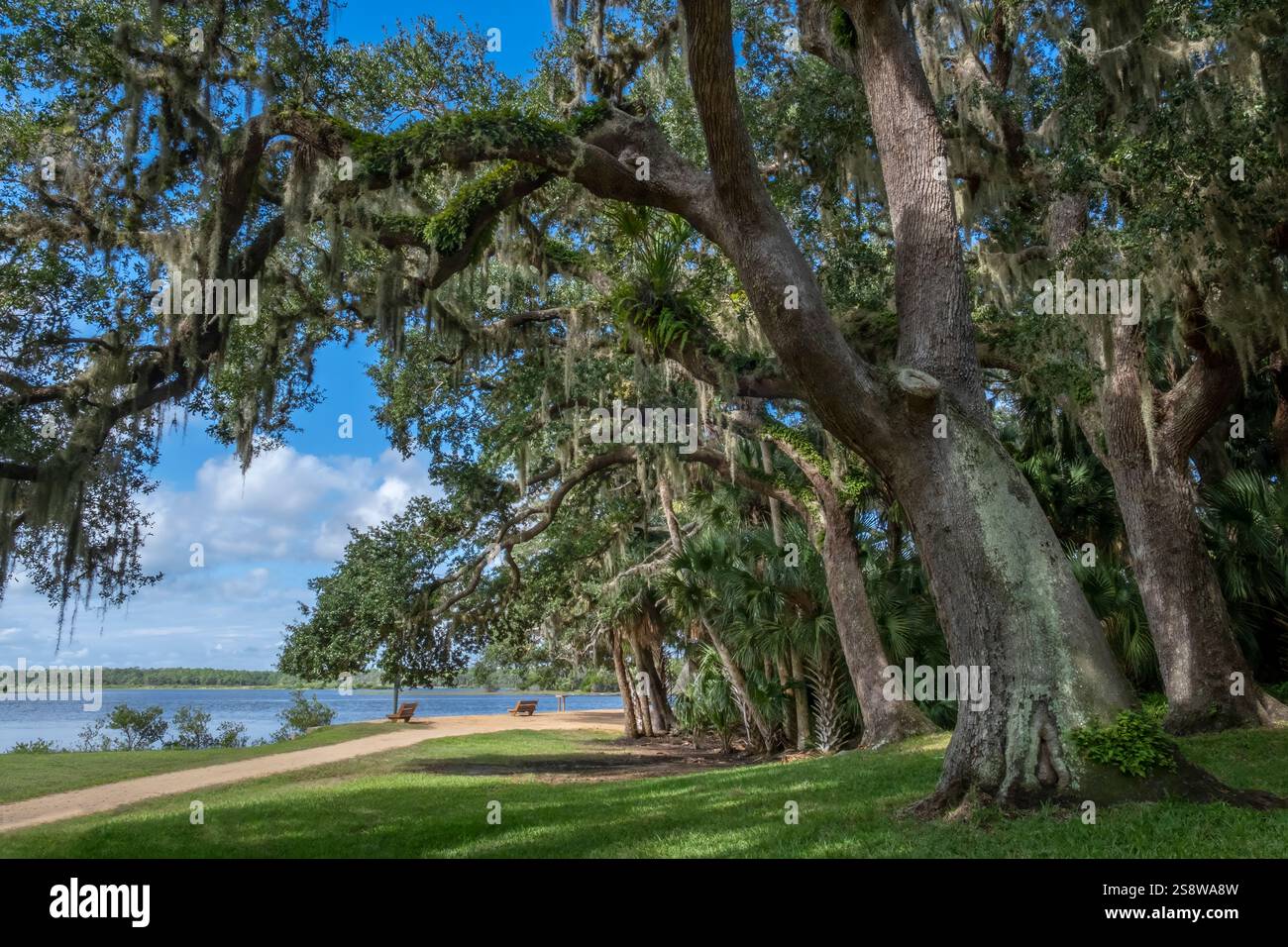 Washington Oaks Gardens State Park, Palm Coast, Florida Stock Photo - Alamy